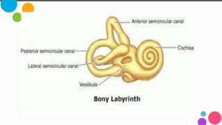 Anatomy and physiology of the Inner ear, and Motion Sickness | PPTX