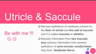 Anatomy and physiology of the Inner ear, and Motion Sickness | PPTX