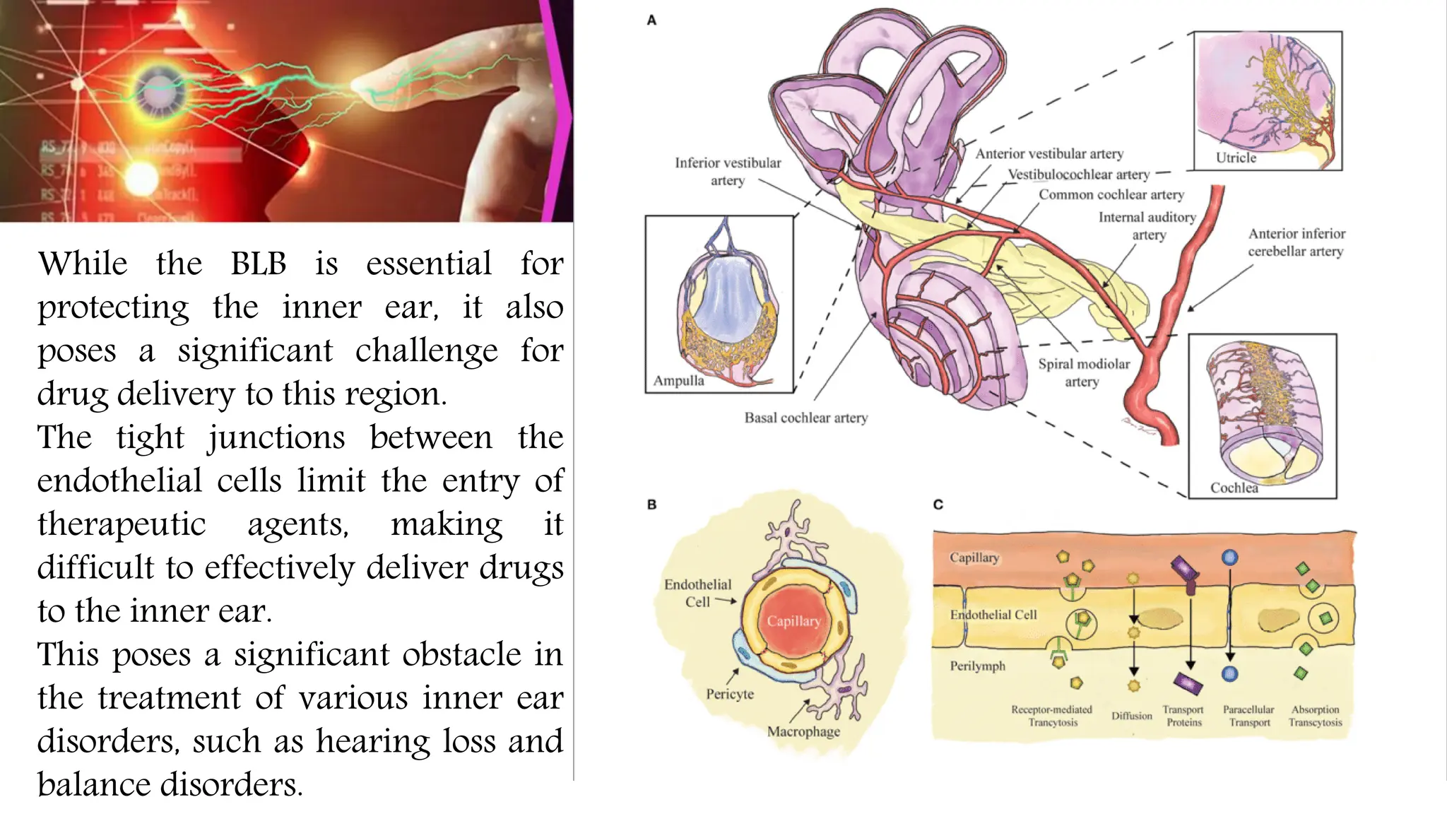 otic delivery system.pdf