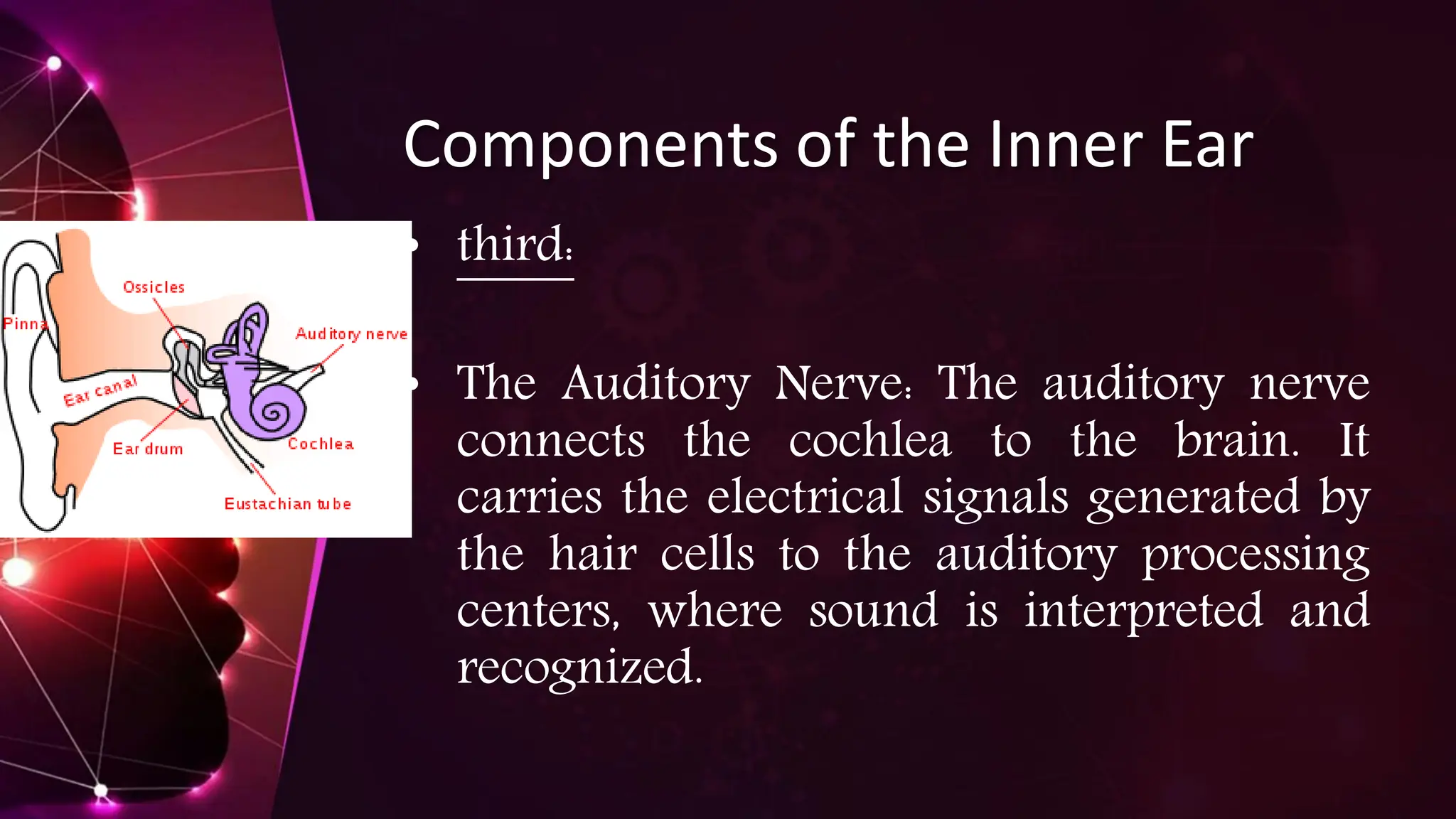 otic delivery system.pdf