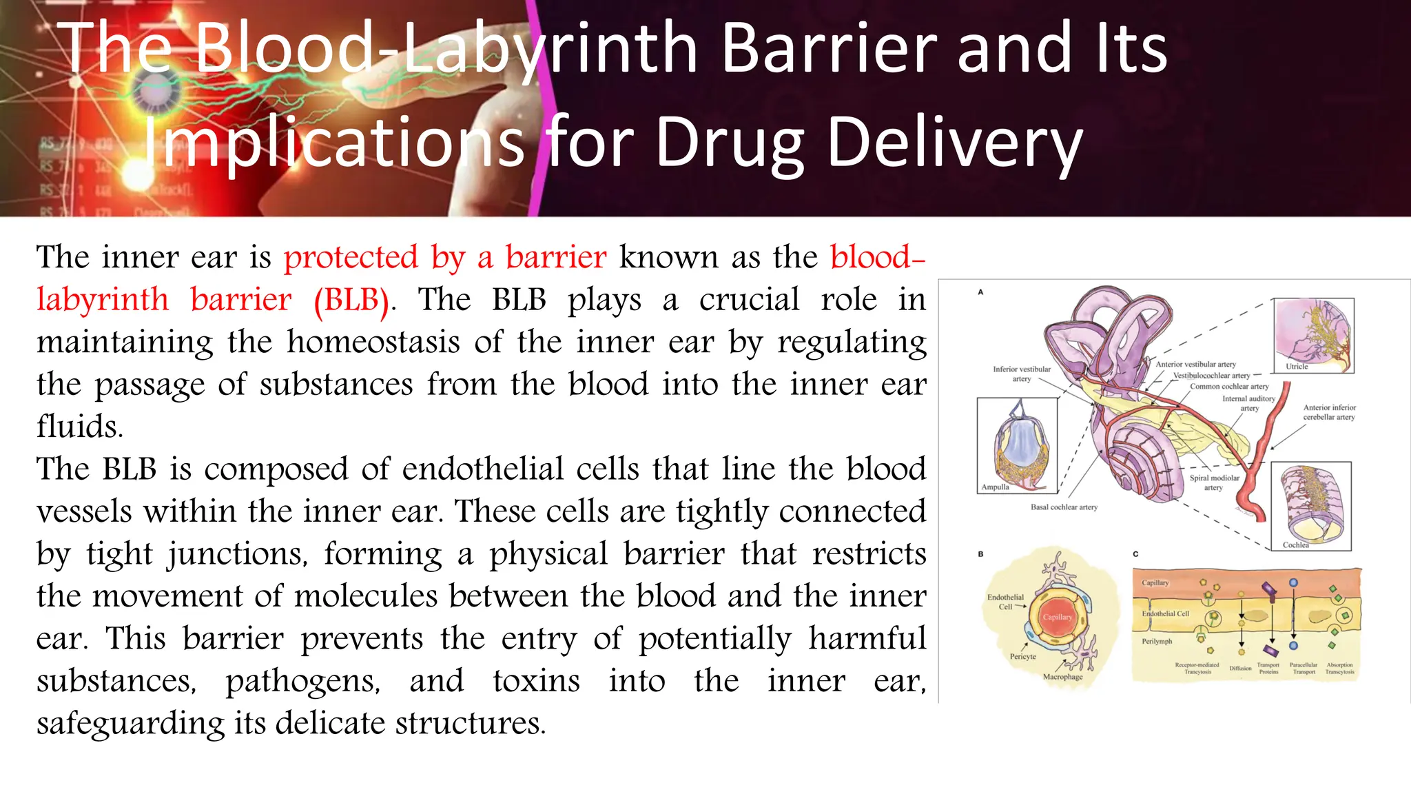 otic delivery system.pdf
