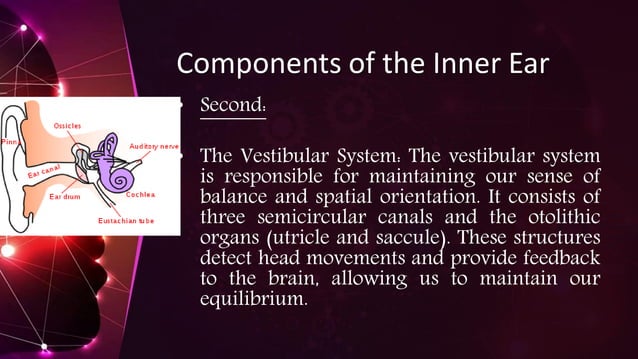 otic delivery system.pdf