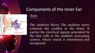 otic delivery system.pdf
