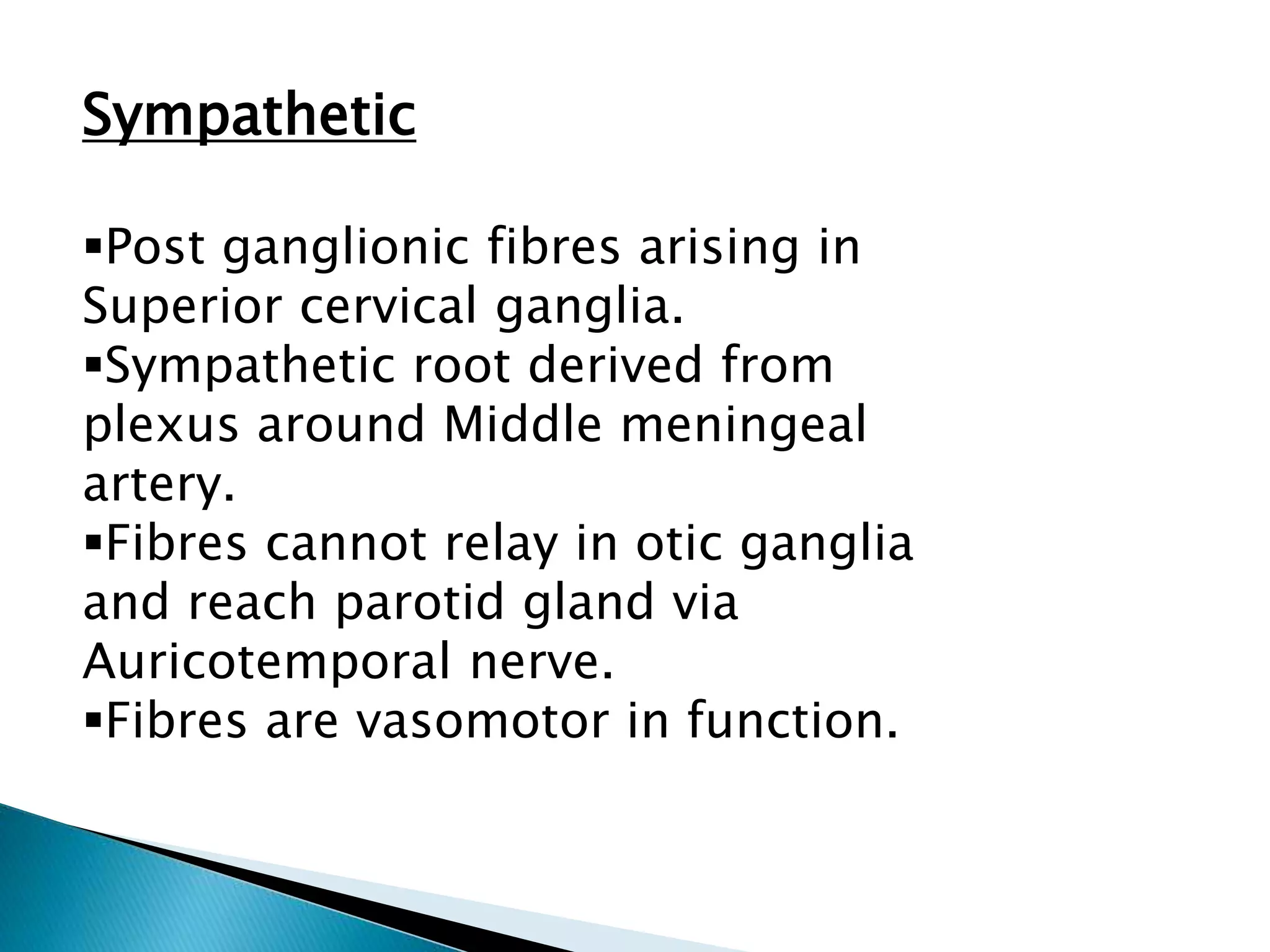 otic ganglion.pptx