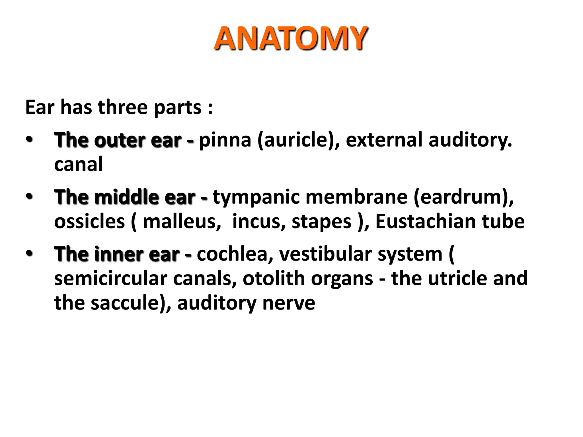 Case Presentation on Chronic Otitis Media | PPTX