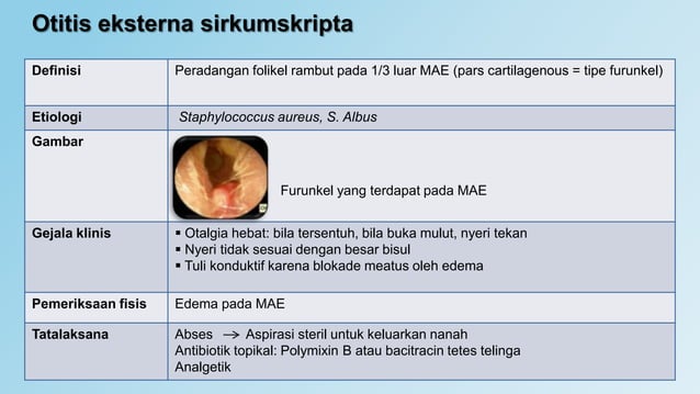 OTITIS_EKSTERNA_ppt.ppt