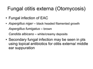 Otitis externa | ODP