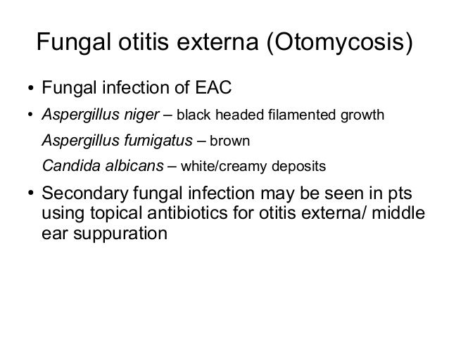 Fungal Otitis Externa Treatment Fungal Malignant Otitis Externa | BMJ