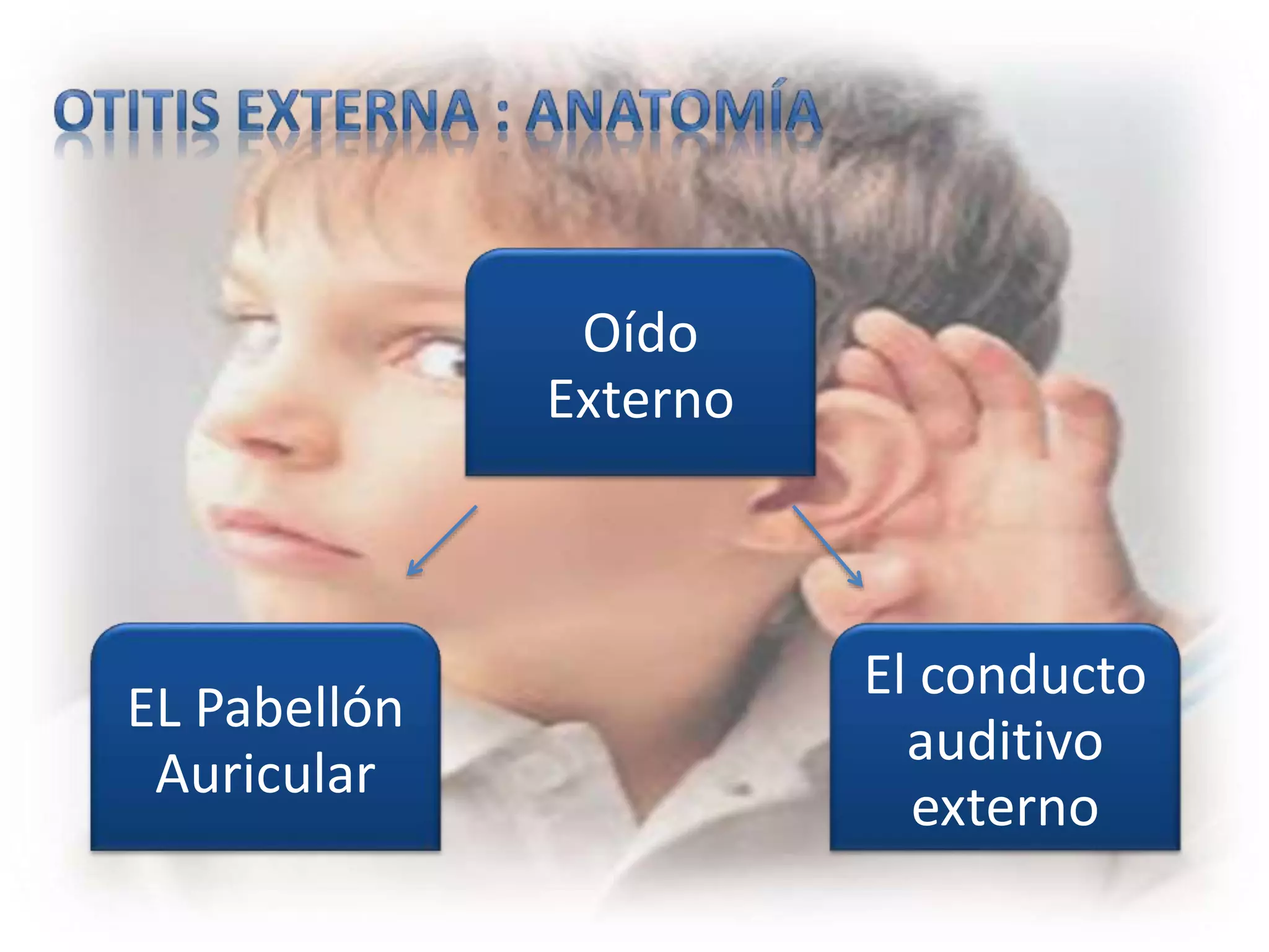 Otitis externa | PPTX | Ear, Nose and Throat Conditions | Diseases and ...