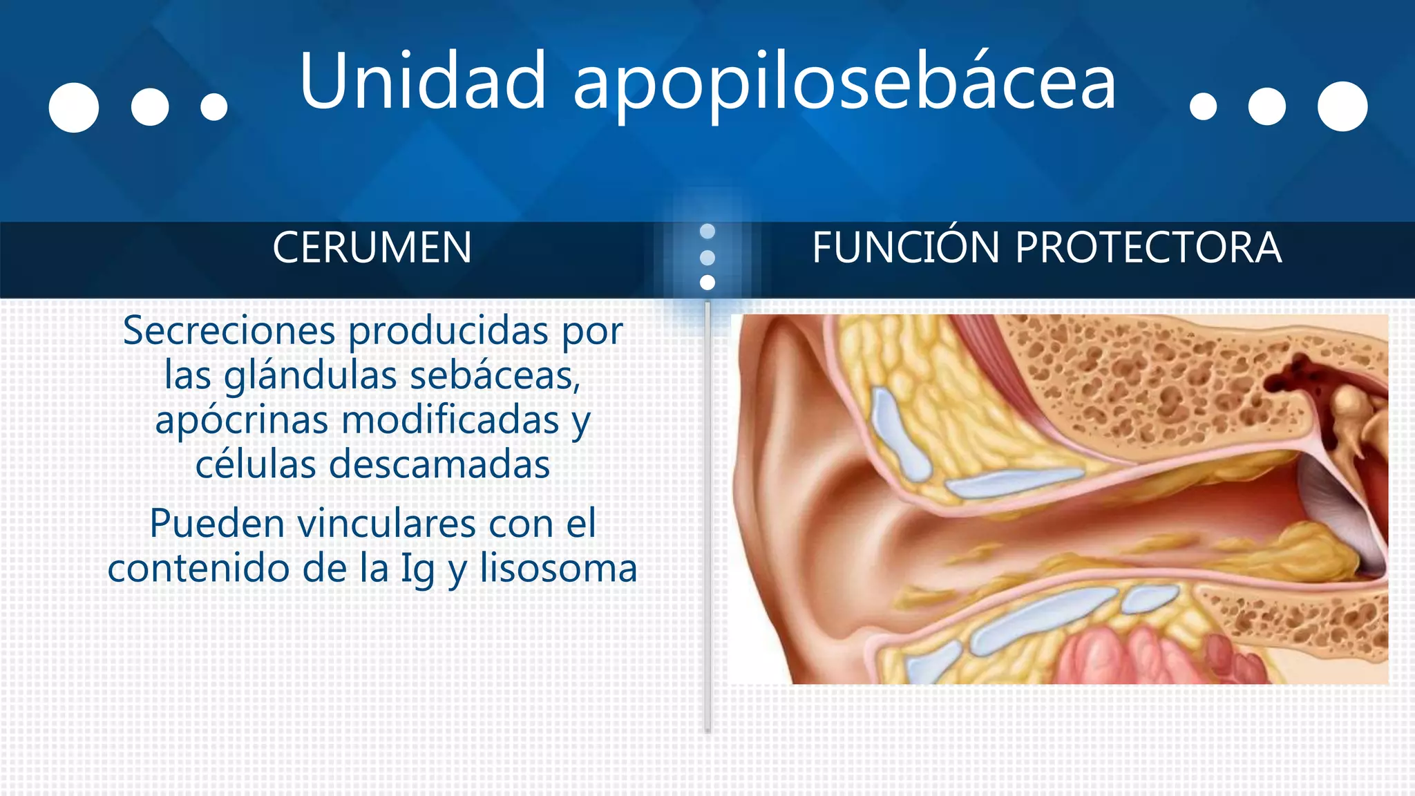 Otitis externa | PPT