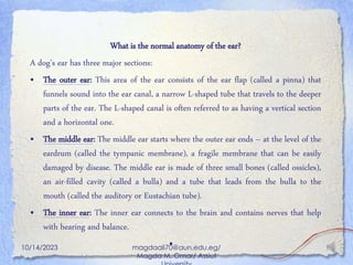 Otitis externa.pdf