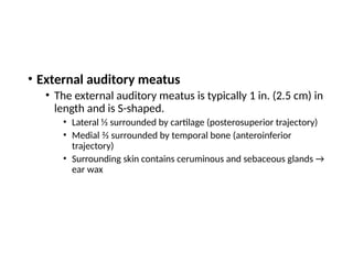 OTITIS EXTERNA PATHOLOGY-WPS Office.pptx