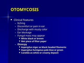Otitis Externa(1).ppt 111111111111111111 | PPT