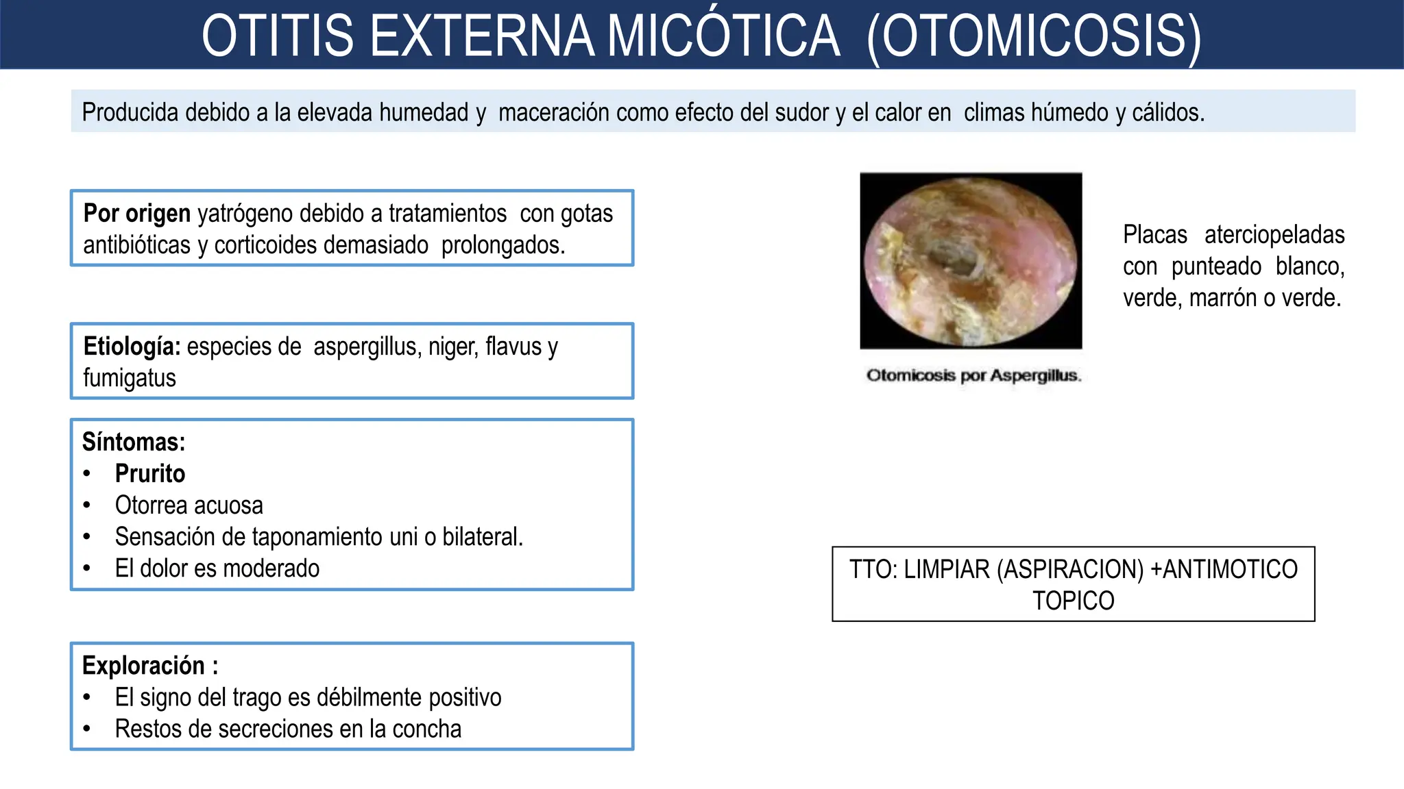 OTITIS EXTERNA AGUDA.pptx