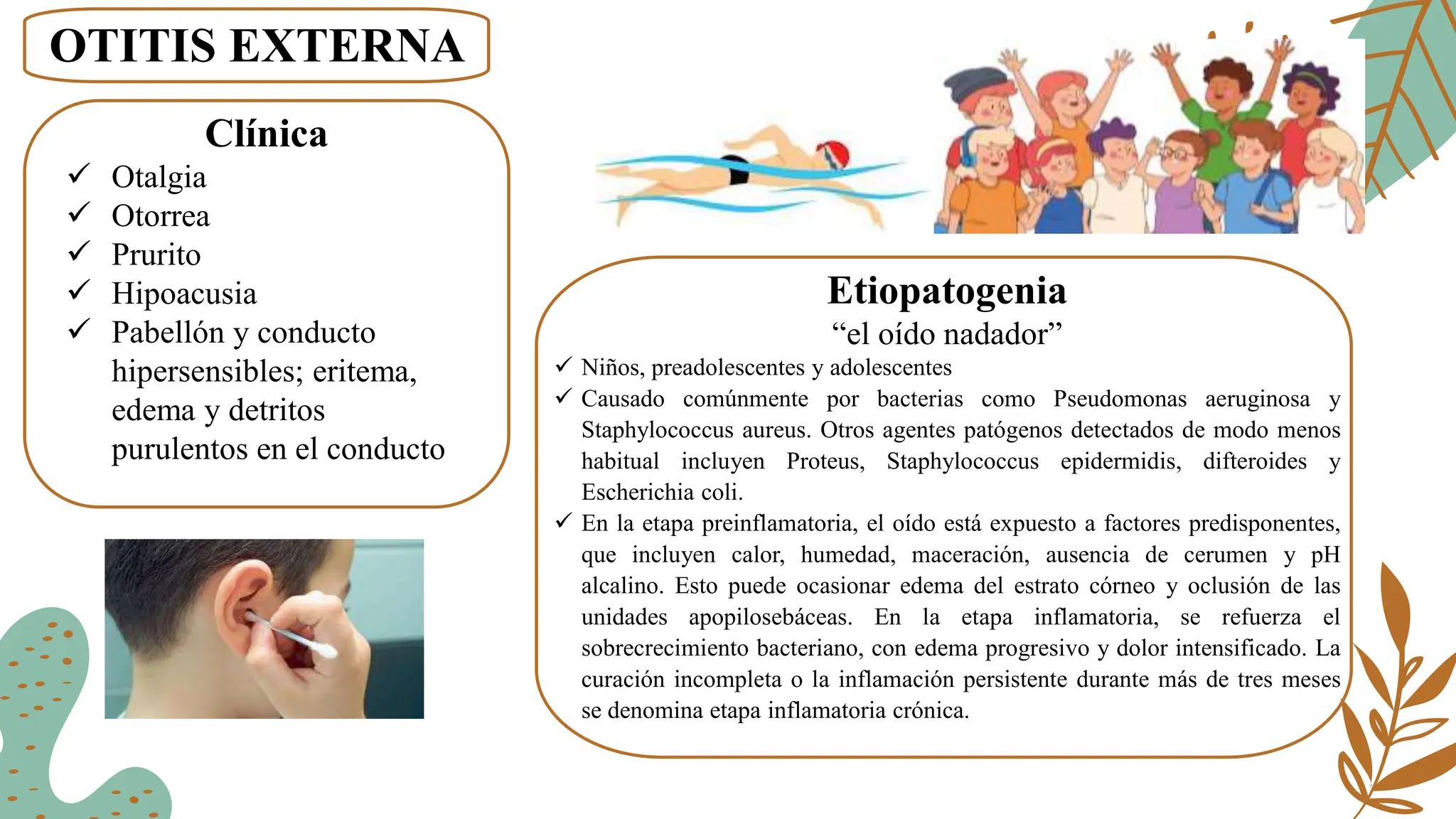 otitis media y otitis externa anatomía y fisiopato | PPTX