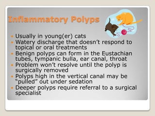 My Dog Has Otitis! Now What? | PPTX | Ear, Nose and Throat Conditions ...