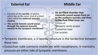Otitis Media ENT and Microbiology | PPTX | Ear, Nose and Throat ...