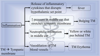 Otitis Media ENT and Microbiology | PPT