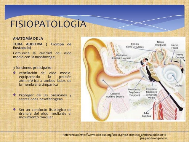 Otitis Media Aguda Viral