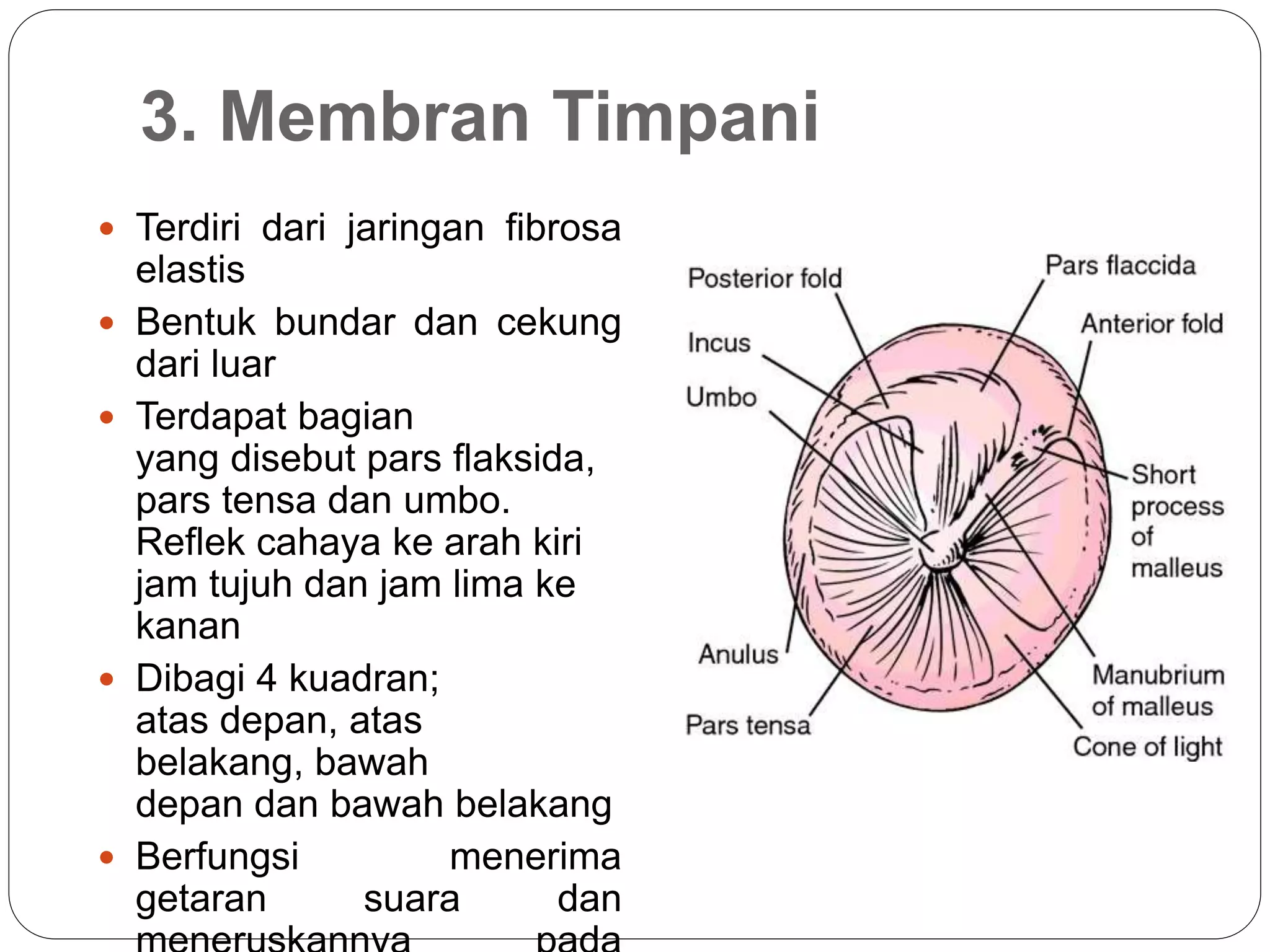 Otitis media akut | PPTX