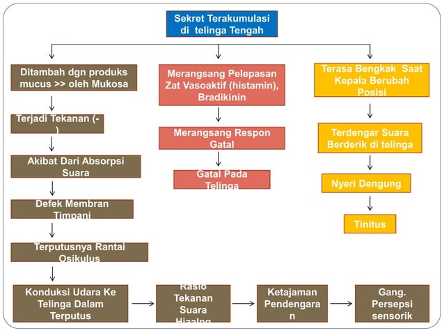 Otitis media akut | PPTX