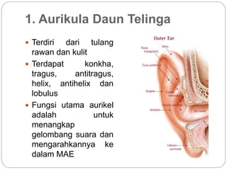 Otitis media akut | PPTX
