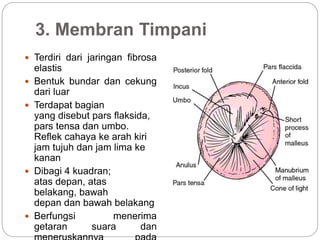 Otitis media akut | PPTX