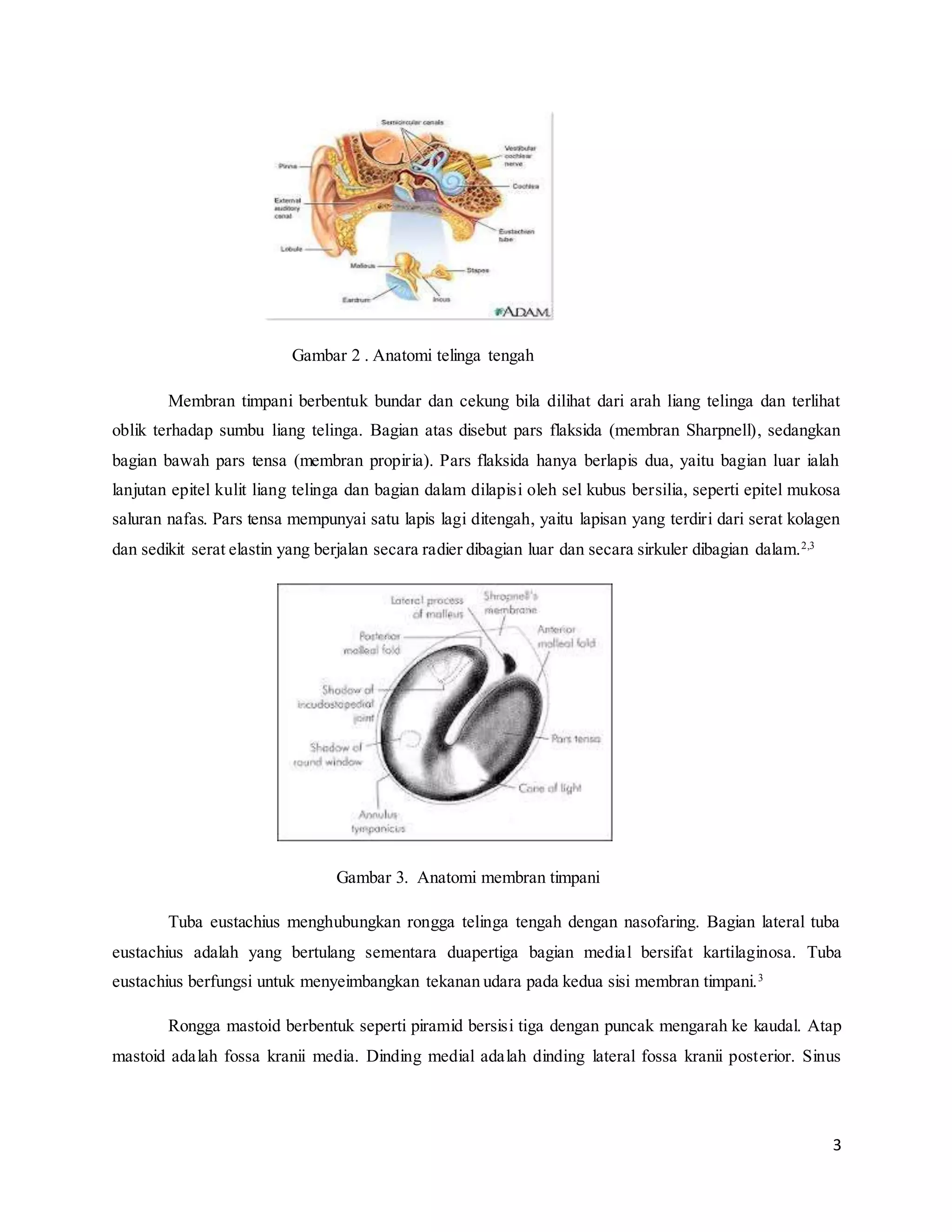 Otitis media akuta | DOCX