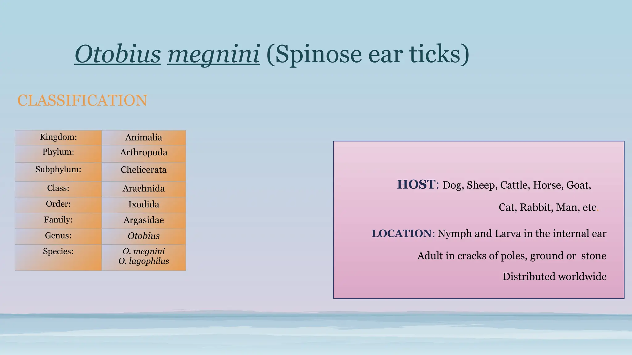 OTOBIUS SP., LIPEURUS SP., AMBLYOMMA SP. AND MEGNINIA in animals | PPTX