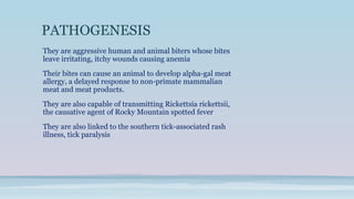 OTOBIUS SP., LIPEURUS SP., AMBLYOMMA SP. AND MEGNINIA in animals | PPTX