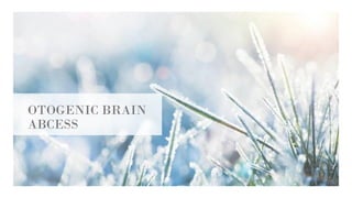 presentation on otogenic brain abscess, ent | PPTX