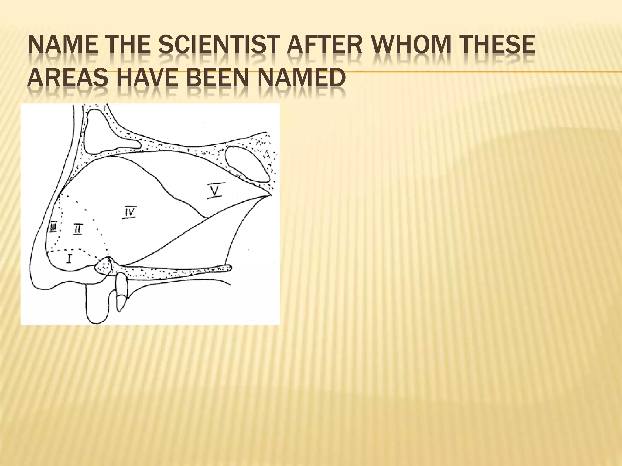 Otolaryngology(ENT) history part 1 | PPTX