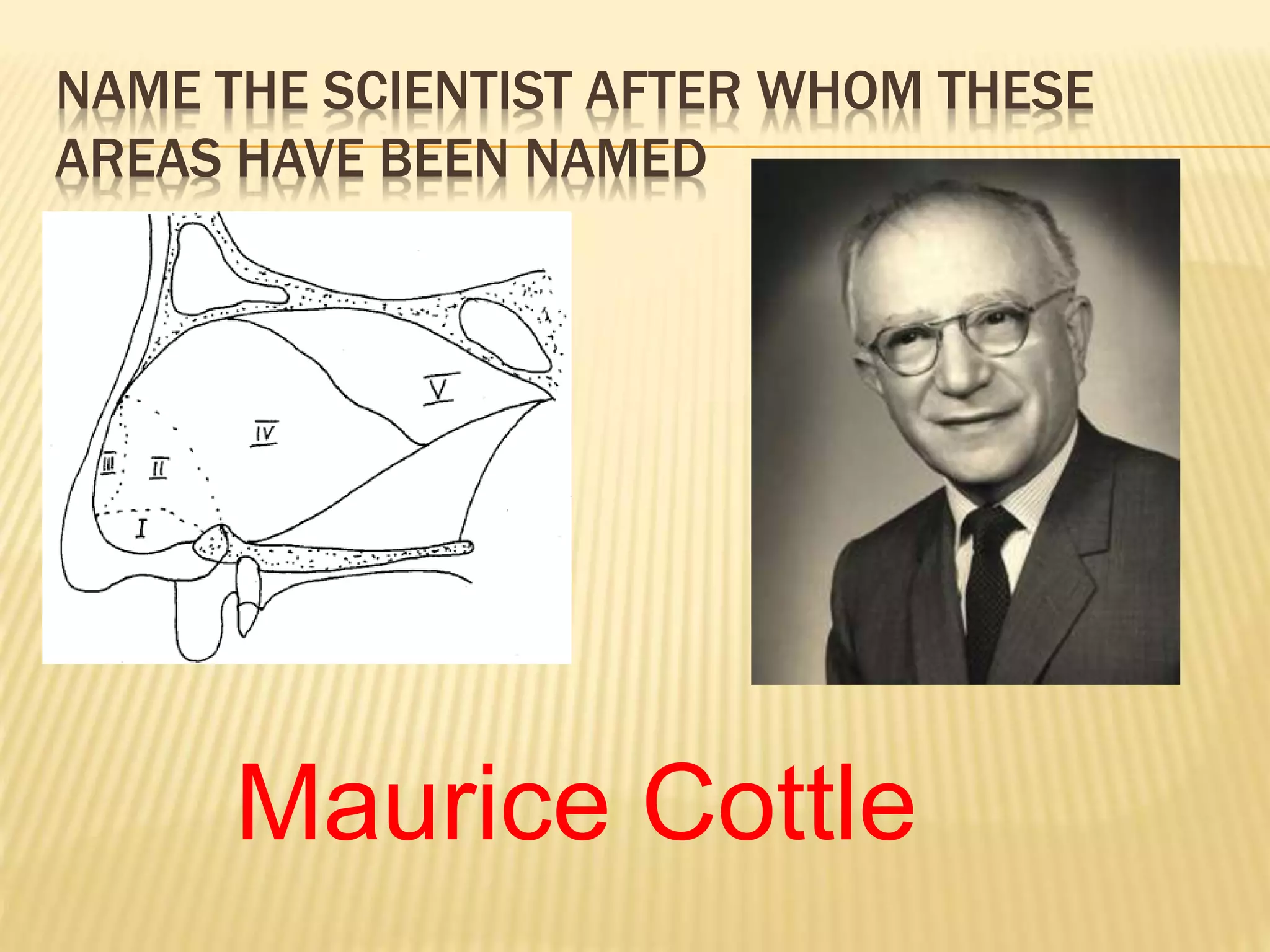 Otolaryngology(ENT) history part 1 | PPTX