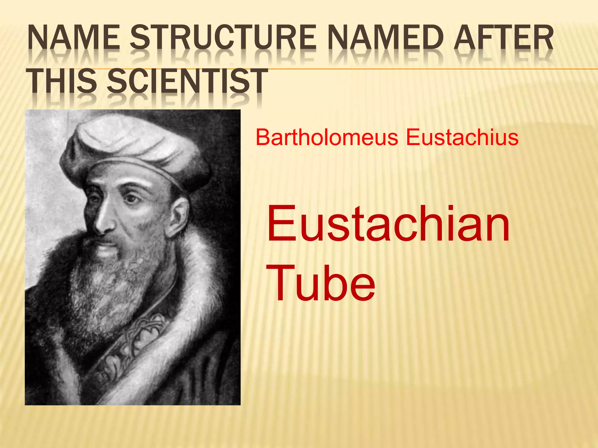 Otolaryngology(ENT) history part 1 | PPTX