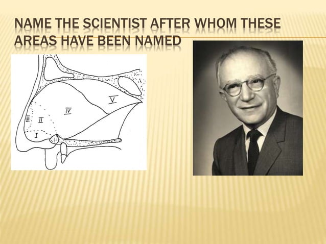 Otolaryngology(ENT) history part 1 | PPTX | Ear, Nose and Throat ...