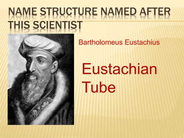 Otolaryngology(ENT) history part 1 | PPTX | Ear, Nose and Throat ...