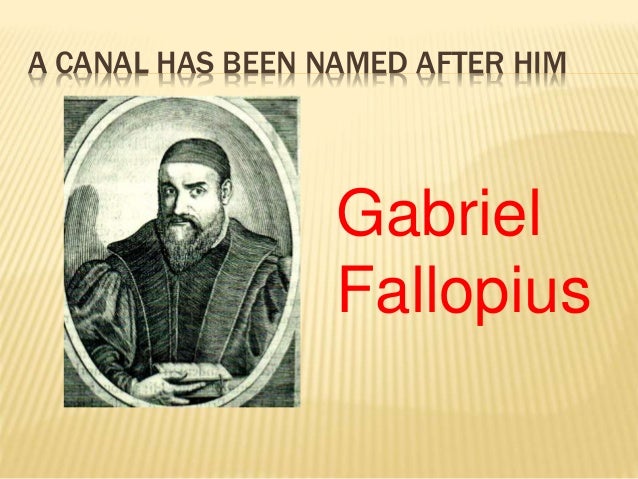 Otolaryngology(ENT) history part 1