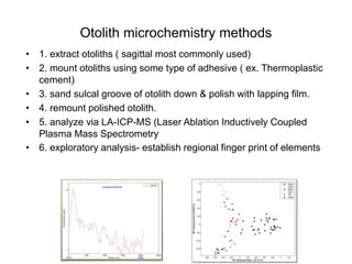 Otolith2 | PPT