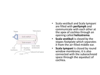 OTOLOGY POINTS & Post-auricular abscesses.pptx