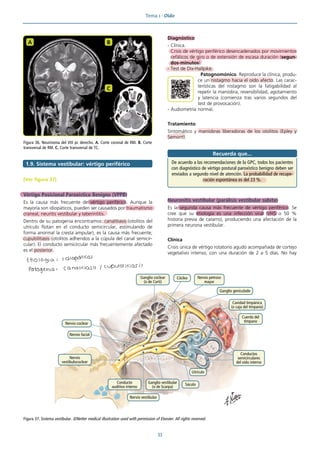 Otorrinolaringología AMIR 15° ed - Mexico (16) 2022.pdf