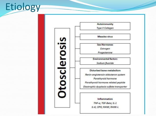 otosclerosis.pptx | Ear, Nose and Throat Conditions | Diseases and ...