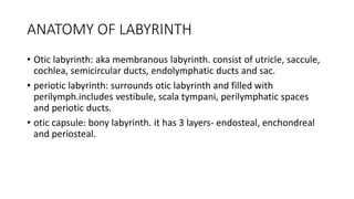 OTOSCLEROSIS in ear nose and throat .pptx