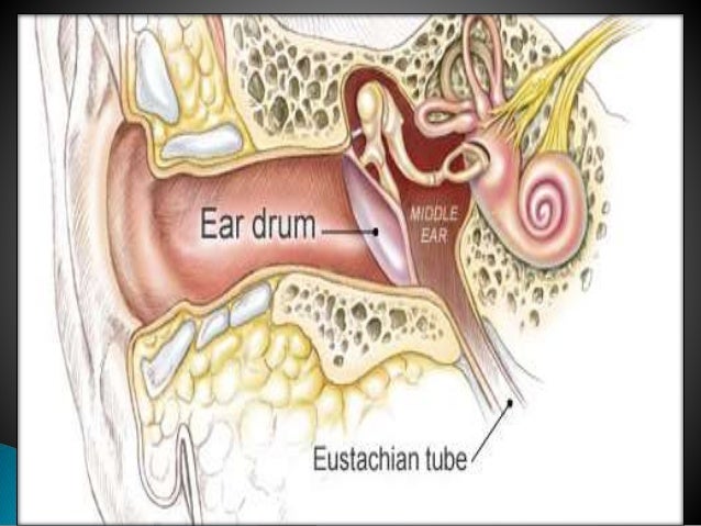 Otoscope and its uses