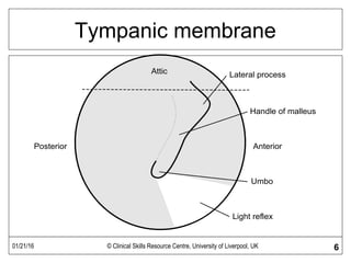 Otoscopy | PPT