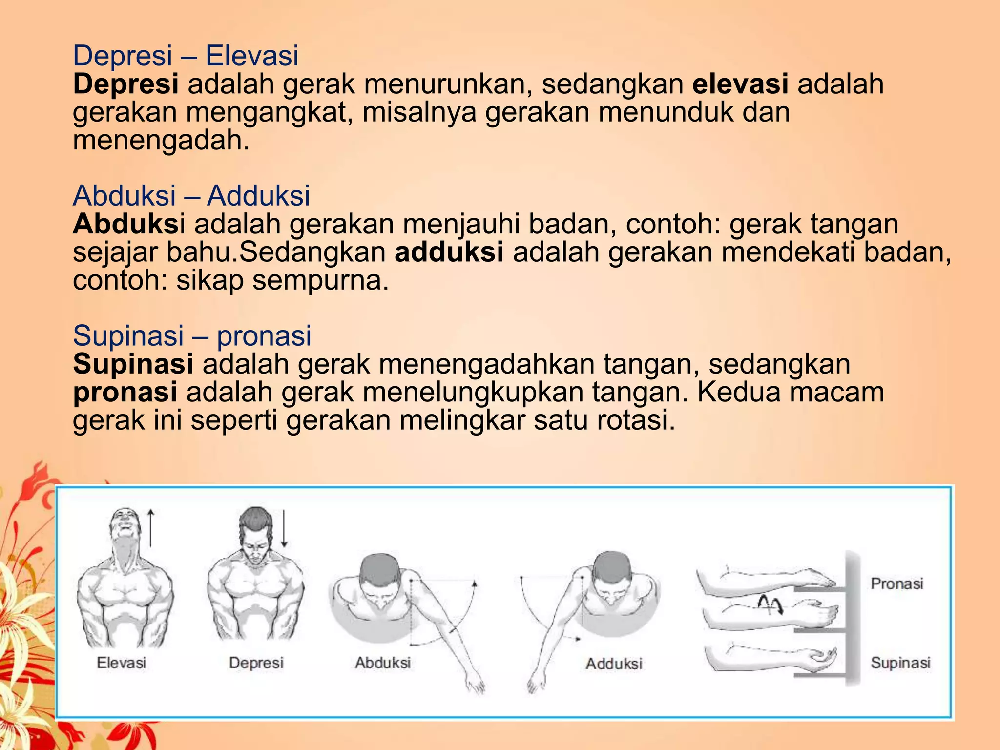 jaringan otot | PPTX