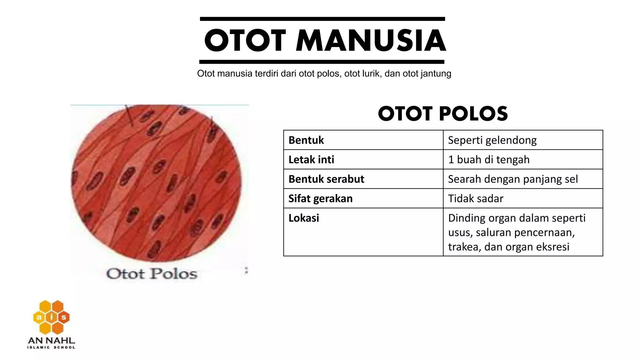 Otot dan Penyakit pada Sistem Gerak | PPTX