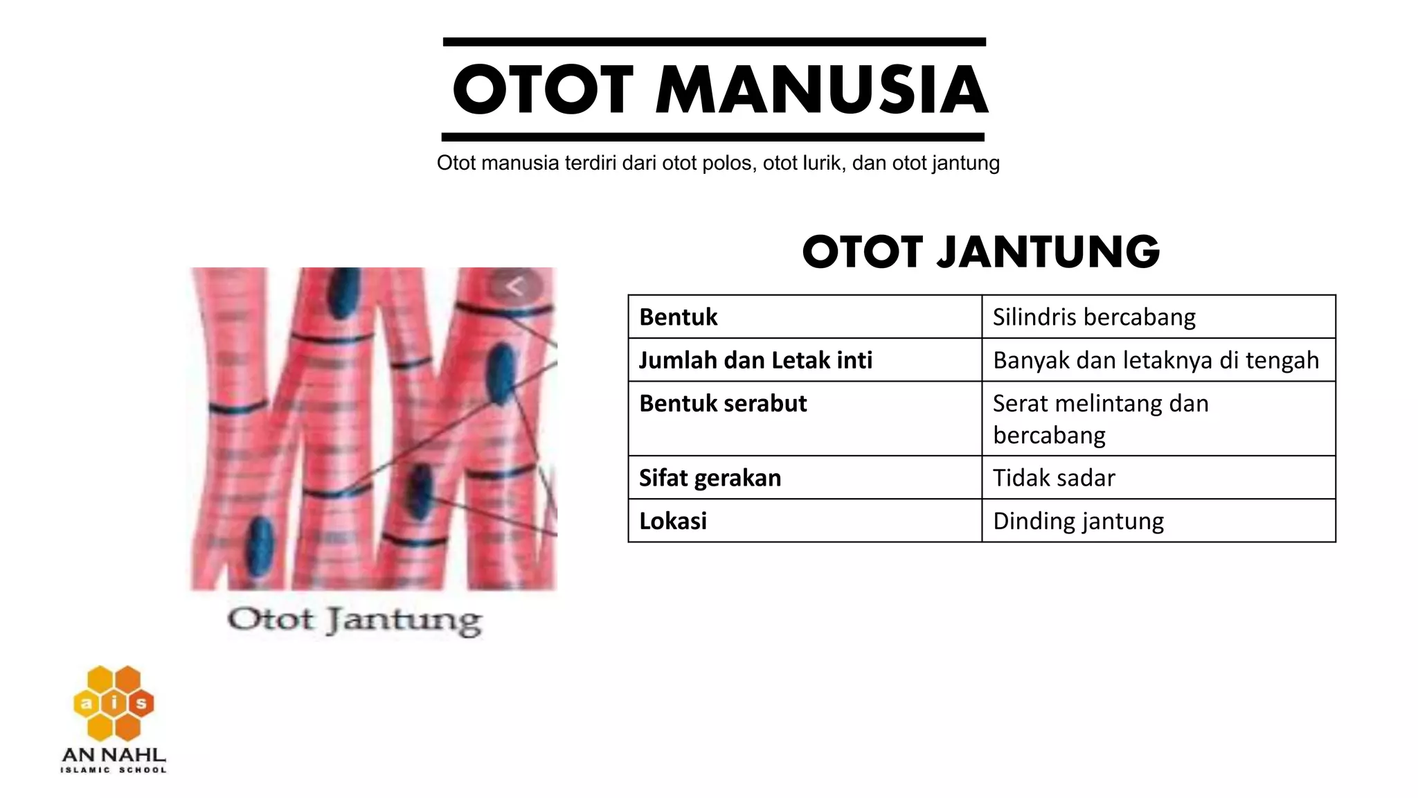 Otot dan Penyakit pada Sistem Gerak | PPTX