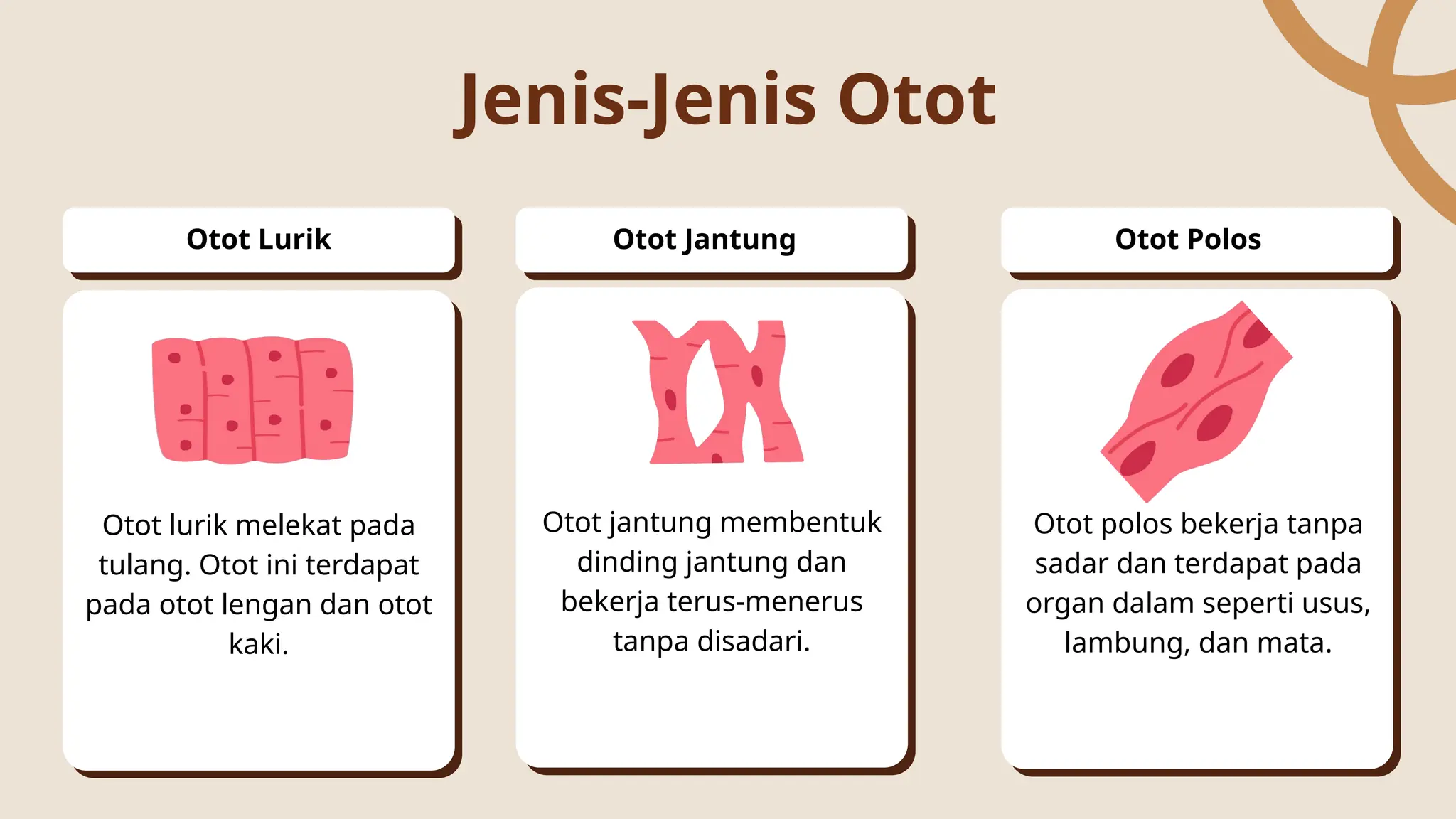 Otot dan Sendi Presentasi kelas 6 sd.pptx