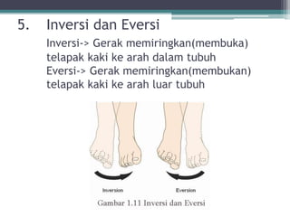 Otot manusia | PPTX