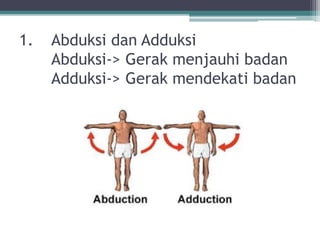 Otot manusia | PPT